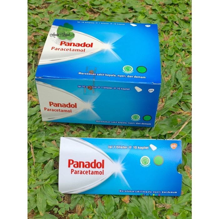 Jual Panadol Paracetamol Box Biru | Shopee Indonesia
