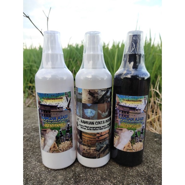 Jual Parfum Walet, Aroma Pemikat, Per4ngsang, Pemancing Burung Walet ...