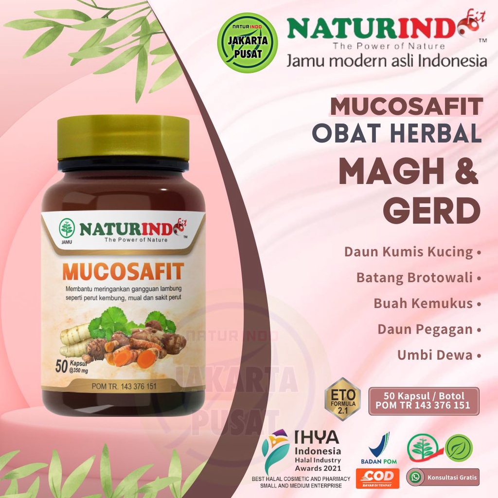 Jual Naturindo Mucosafit Obat Herbal Asam Lambung Magh Maag Kronis Gerd ...