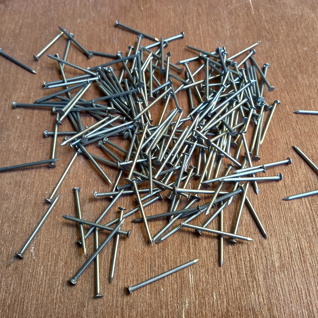 Jual PAKU RENG/PAKU KAYU/PAKU PASAK (1 KG) | Shopee Indonesia