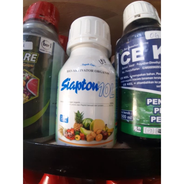 Jual Siapton 10L bio aktivator organik 250ml original 100% | Shopee ...