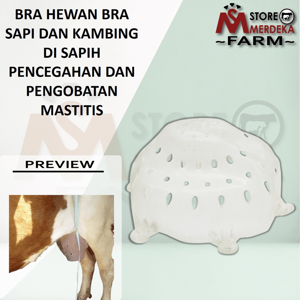 Jual Bra Hewan Bra Sapi dan Kambing di Sapih, Pencegahan dan Pengobatan Mastitis best sell ...
