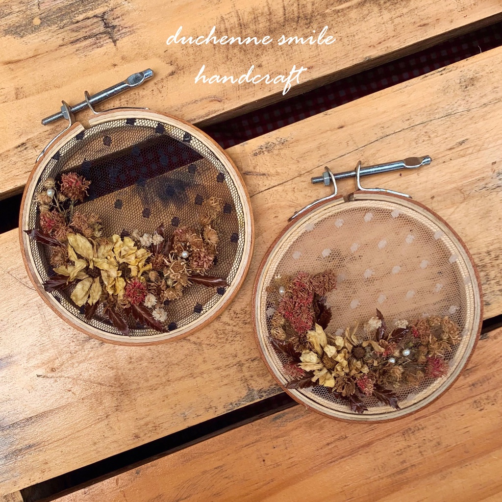 Jual Dried Flower: Tilleef Dot (Ram Kayu) | Shopee Indonesia