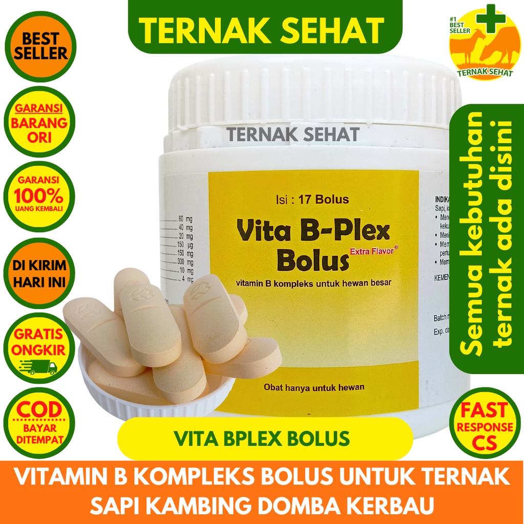 Jual VITA B PLEX BOLUS 1 POT (17 BOLUS) MEDION - Vitamin B Complex Bolus Untuk Ternak Sapi ...