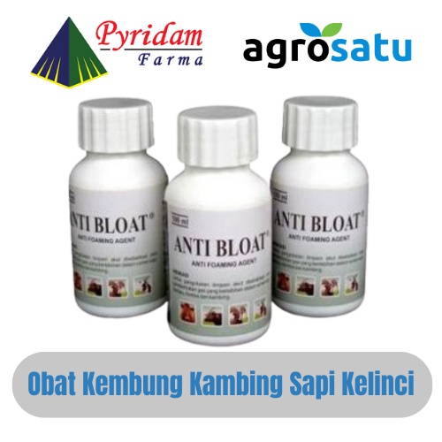 Jual Anti Bloat 100 ml - Obat Kembung Tympan Pada Sapi Kambing Domba ...