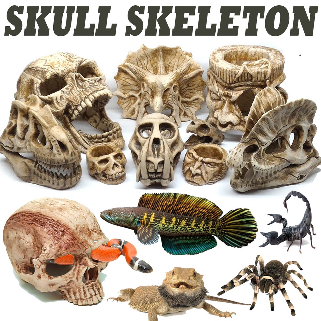 Jual ORNAMEN PATUNG TENGKORAK GOA BERSEMBUNYI HIASAN AKUARIUM IKAN ...