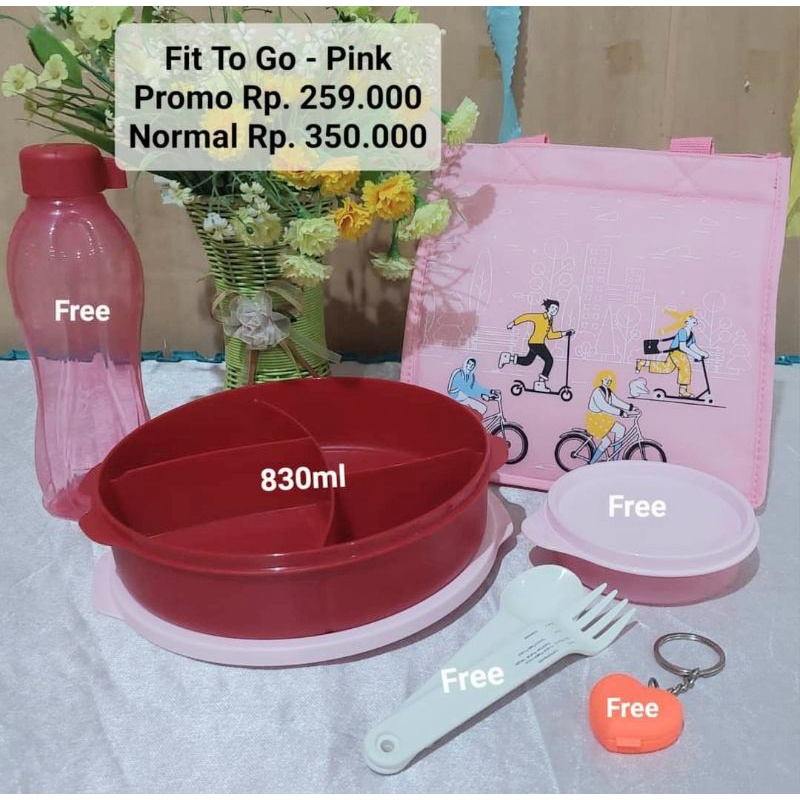 Jual Fit to go tempat bekal anak dewasa Tupperware | Shopee Indonesia