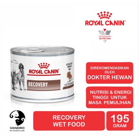 Jual Royal Canin RC Recovery Untuk Sakit/Pemulihan 195gr Free ...