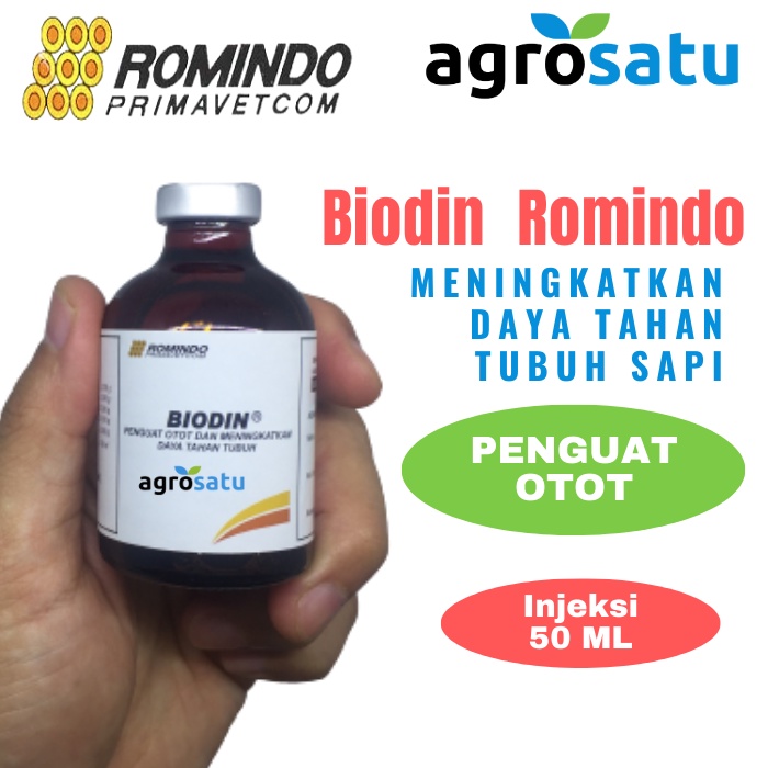 Jual Biodin Romindo Sapi 50 ml Injeksi Vitamin Obat Penguat Otot dan ...