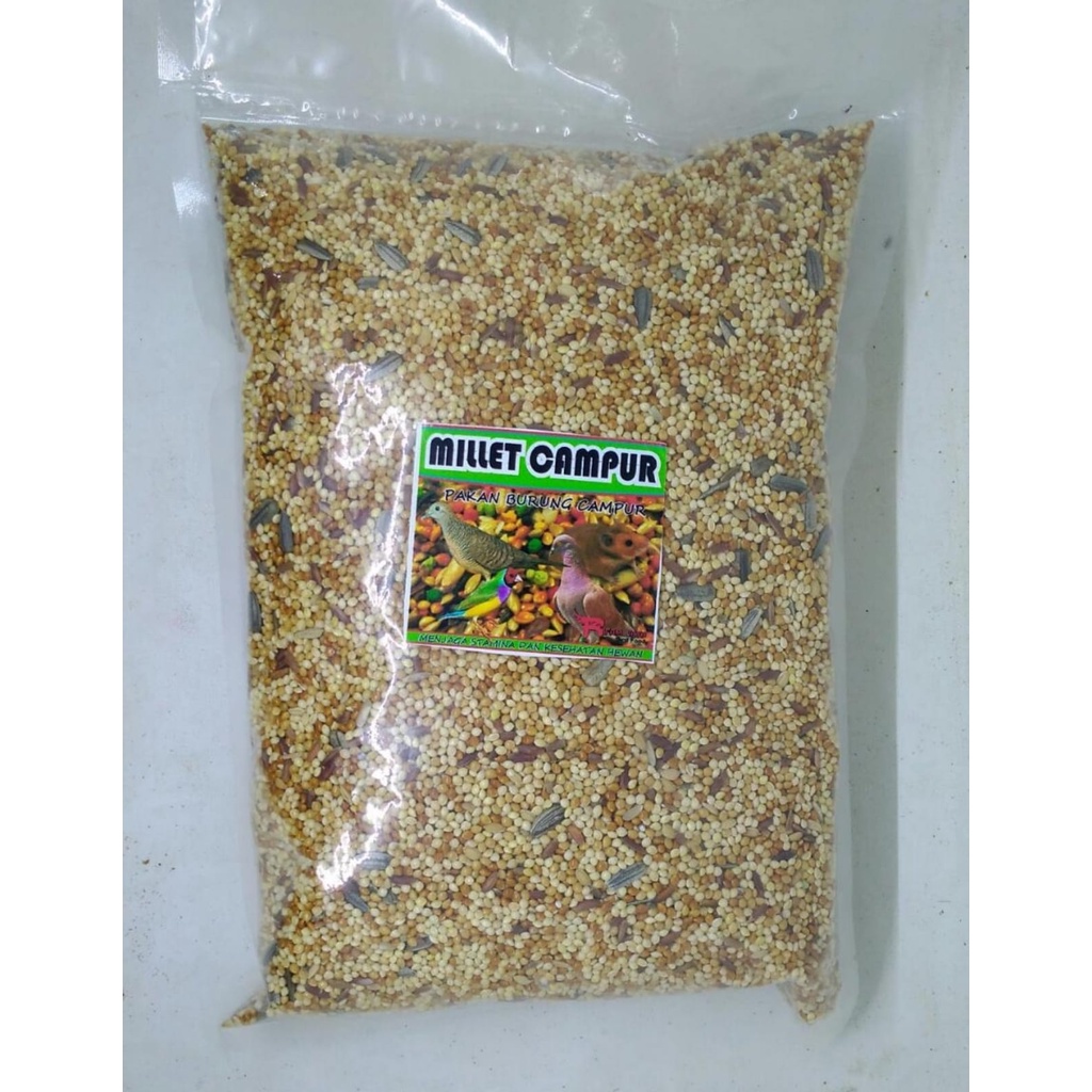 Jual MILET MILLET CAMPUR 500 GR PAKAN MAKANAN BURUNG LOVEBIRD PERKUTUT ...