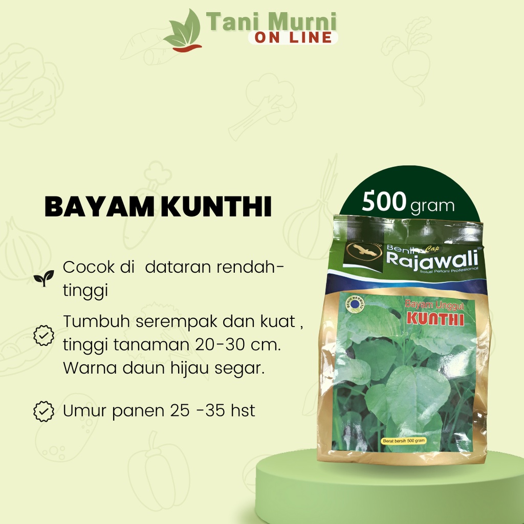 Jual Benih Bayam Kunthi 500 gram | Shopee Indonesia