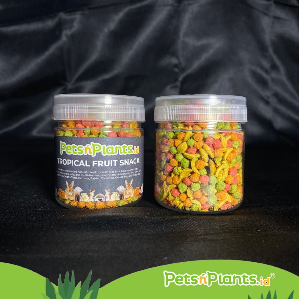 Jual PnP Snack Buah Tropikal Kelinci Chinchilla Landak Mini 50gr ...