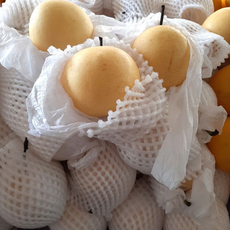 Jual Buah-Pir madu | Shopee Indonesia