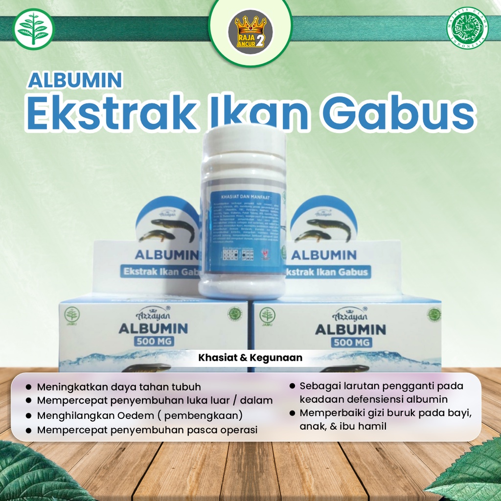 Jual Kapsul Albumin Azzayan Isi 50 Obat Herbal Alami Peningkat Daya ...