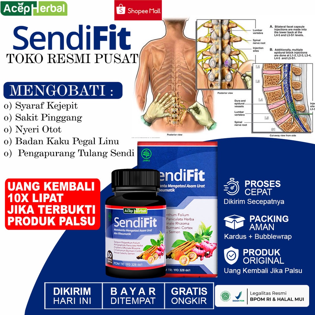 Jual Sendifit Original Obat Syaraf Kejepit Sakit Pinggang Nyeri ...