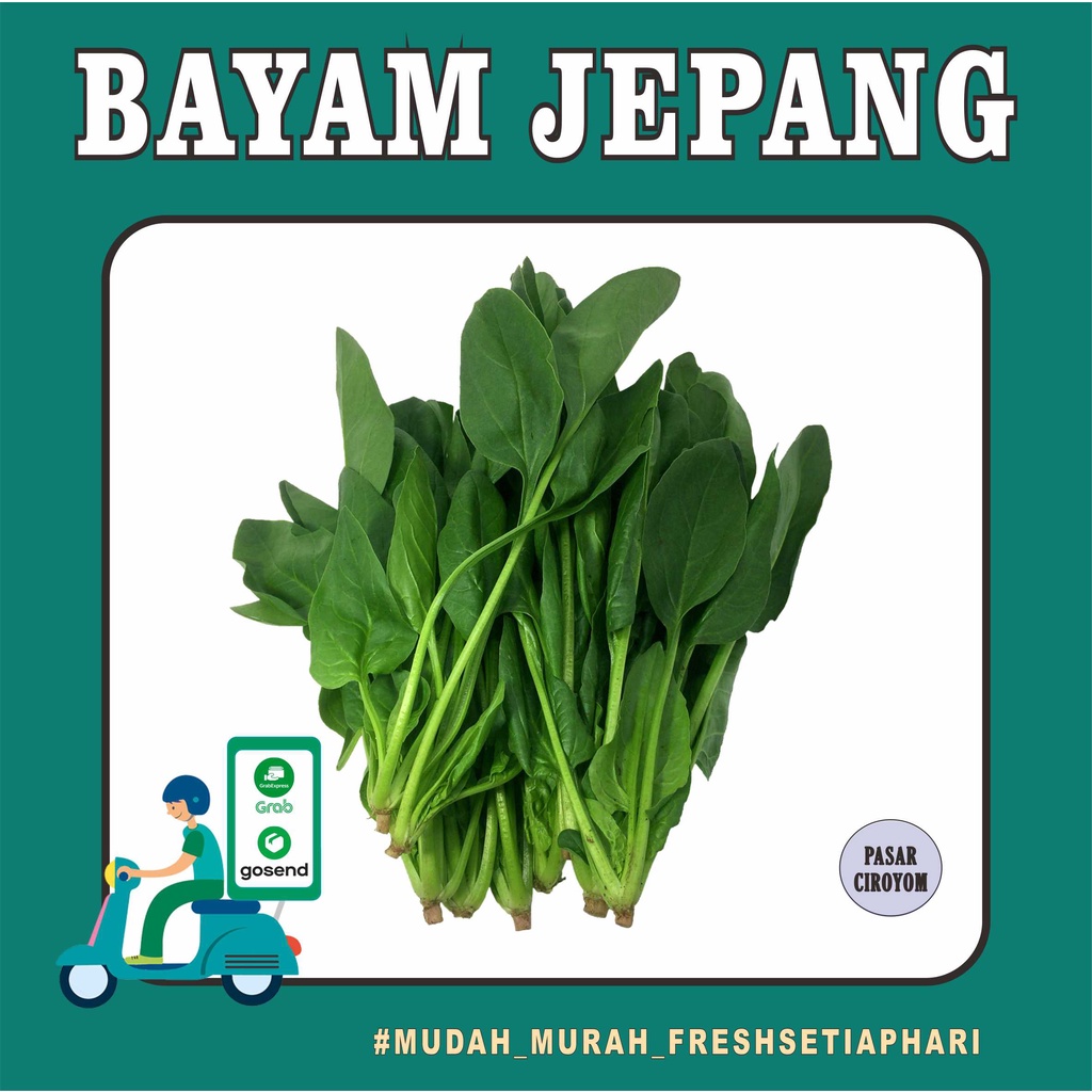 Jual BAYAM JEPANG FRESH MURAH BANDUNG | Shopee Indonesia