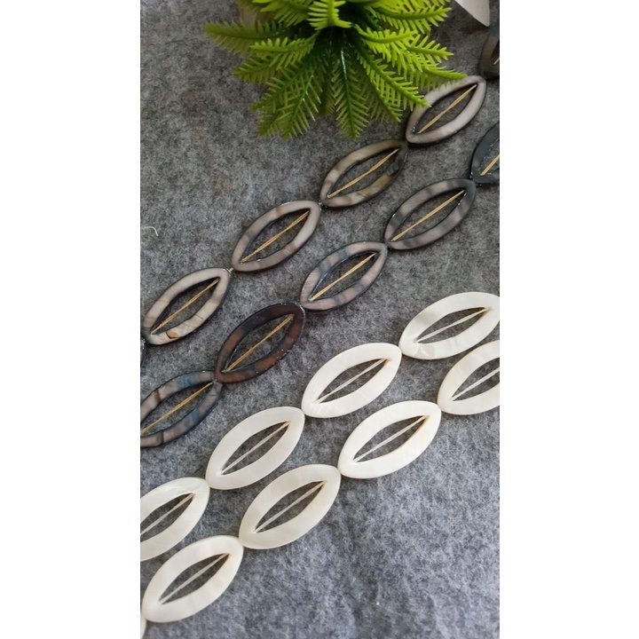 Jual KERANG PIPIH ELIPS 30*20MM | Shopee Indonesia