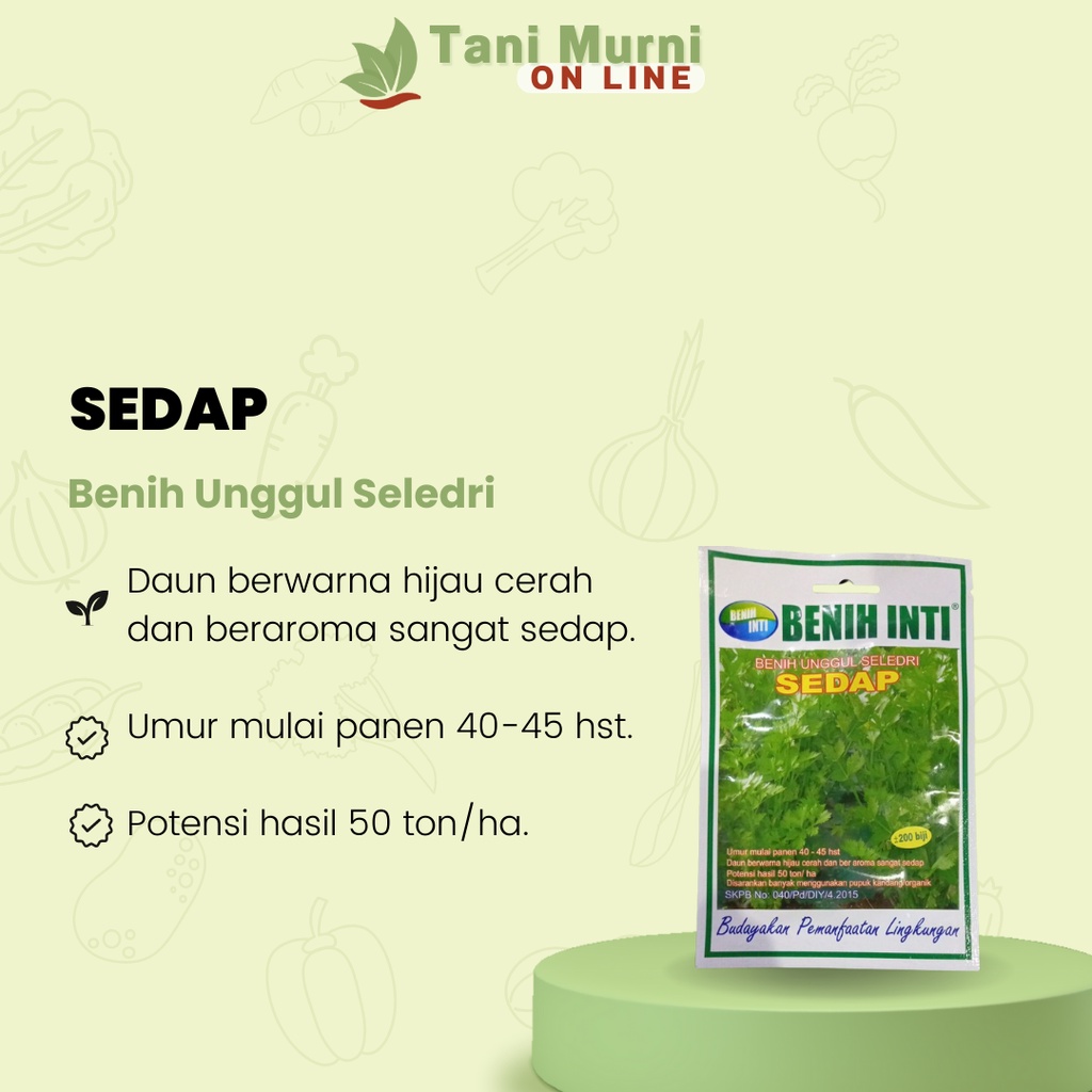 Jual Benih Seledri SEDAP BENIH INTI 200 biji | Shopee Indonesia