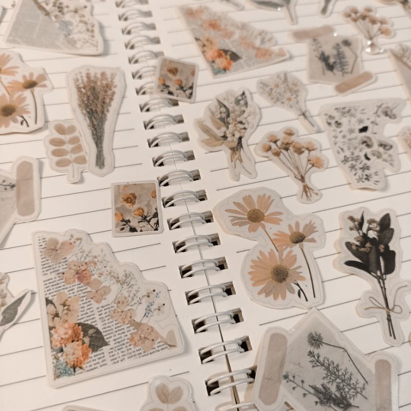 Jual 15pcs Sticker Aesthetic Retro Vintage Die Cut Stiker Estetik ...