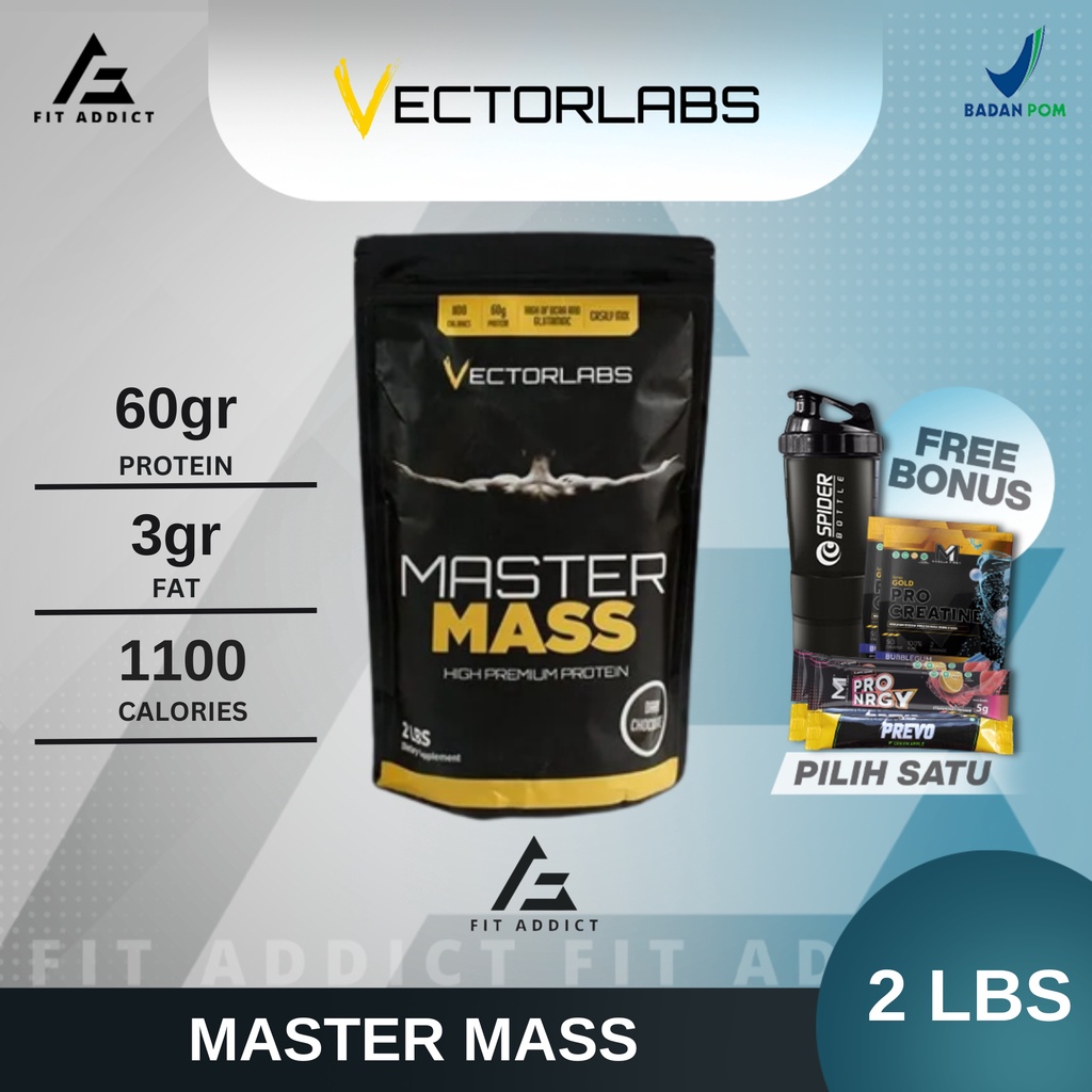 Jual VECTORLABS MASTER MASS GAINER 2 LBS 2 LB 2LBS 2LB VECTOR LABS WEIGHT GAINER PROTEIN ...