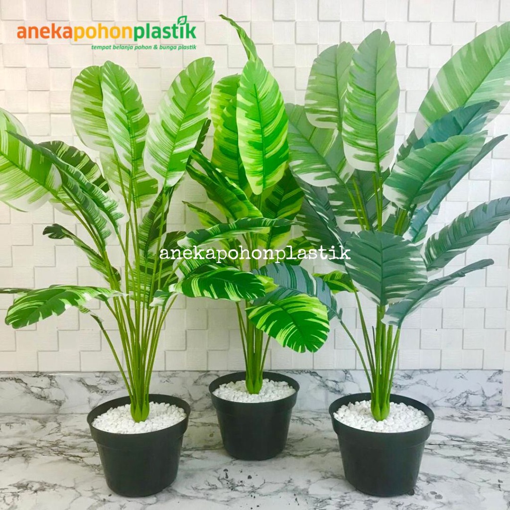 Jual Pohon Artificial Pohon Plastik Daun Musa Florida X18 Semi Latex ...