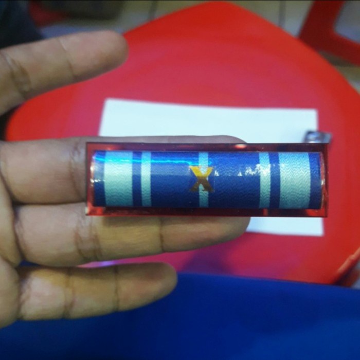 Jual Pin Jas Pin Satya Lencana 10 Tahun (Paku) | Shopee Indonesia