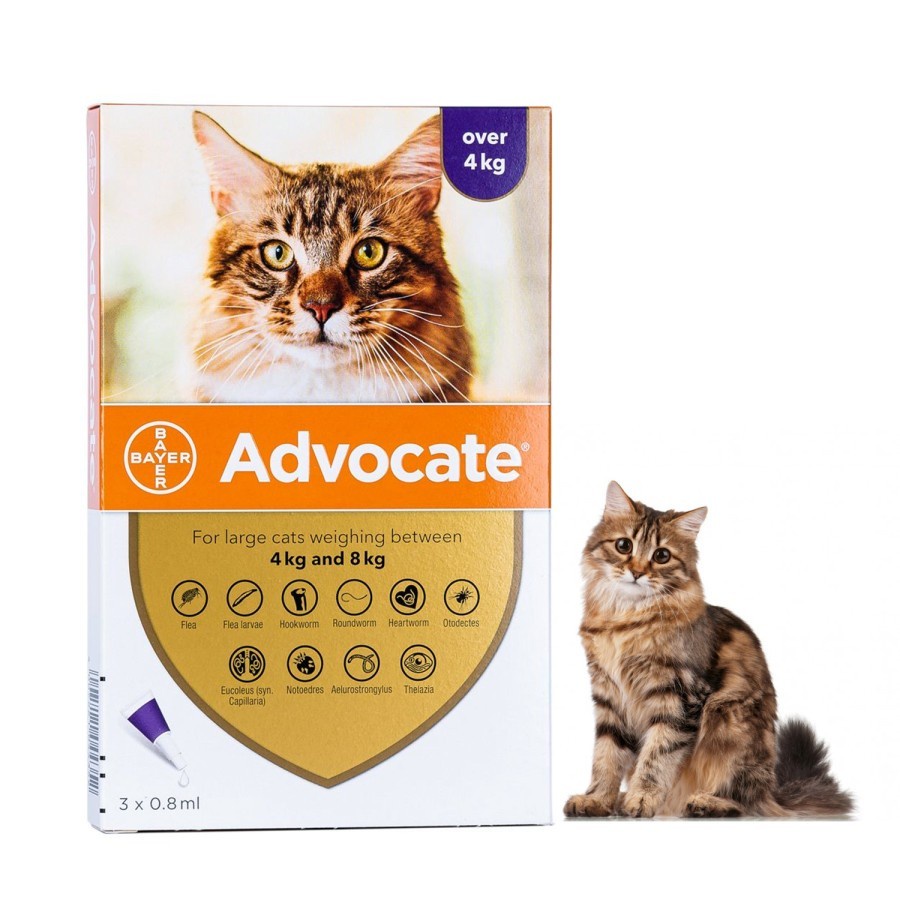Jual Advocate For Large Cat 4-8kg | Obat Kutu Kucing | Shopee Indonesia