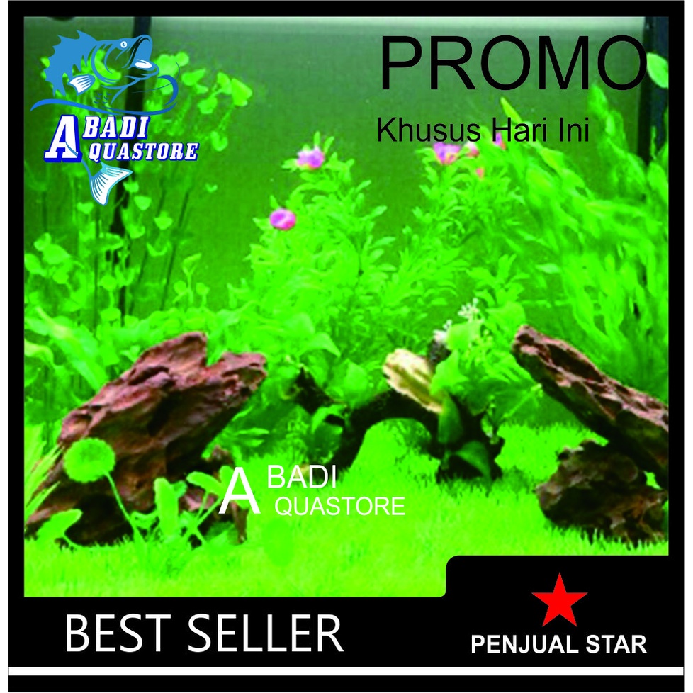 Jual Rumput Aquarium Sintesis (Cocok Untuk AQUARIUM KECIL) - Mainan ...