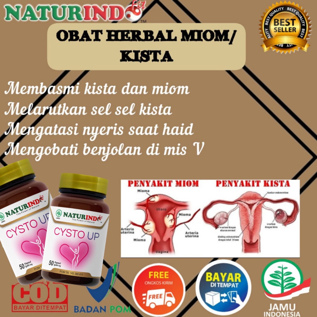 Jual Cysto Up Obat herbal myom cysta 40 Kapsul Naturindo | Shopee Indonesia