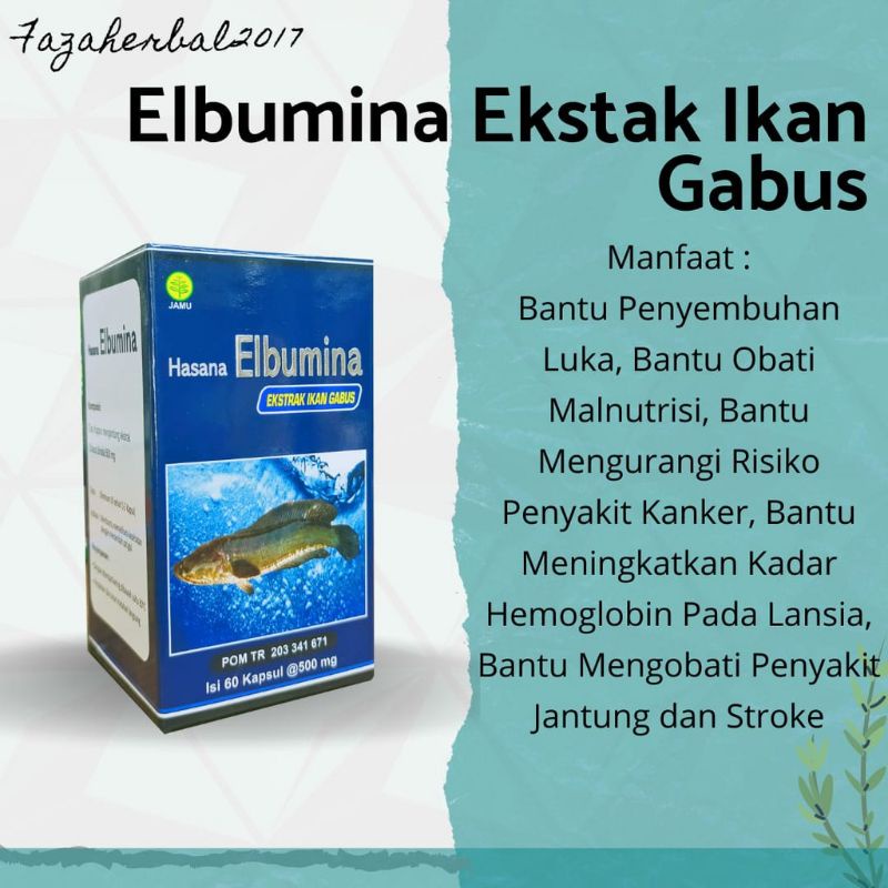 Jual Hasana elbumina ekstrak ikan gabus 60 kapsul asli kutuk albumin | Shopee Indonesia