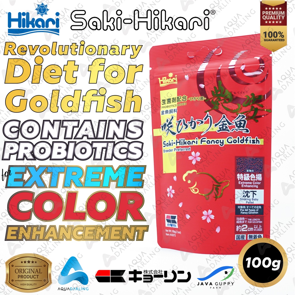 Jual Saki Hikari Fancy Goldfish Extreme Color Enhancing - Sinking - 100 ...