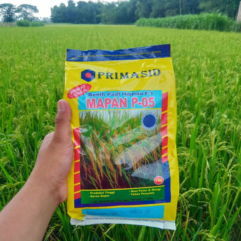 Jual benih padi Mapan P-05 kemasan 1 Kg | Shopee Indonesia