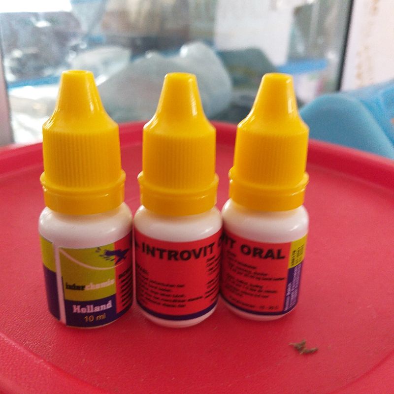 Jual Introvit Oral 10 ml Multivitamin dan asam amino ayam, burung, kelinci | Shopee Indonesia