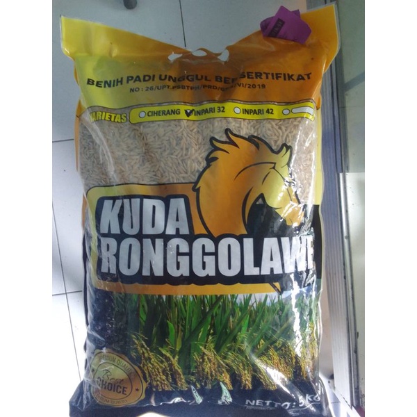 Jual Benih Padi Inpari 32 KUDA RONGGOLAWE 5 KG | Shopee Indonesia