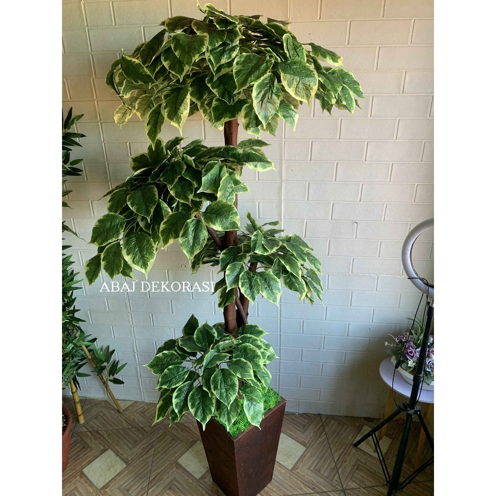 Jual Pohon Chingfu Artificial 170cm - simfu bonsai 4 Pohon Daun Hijau ...