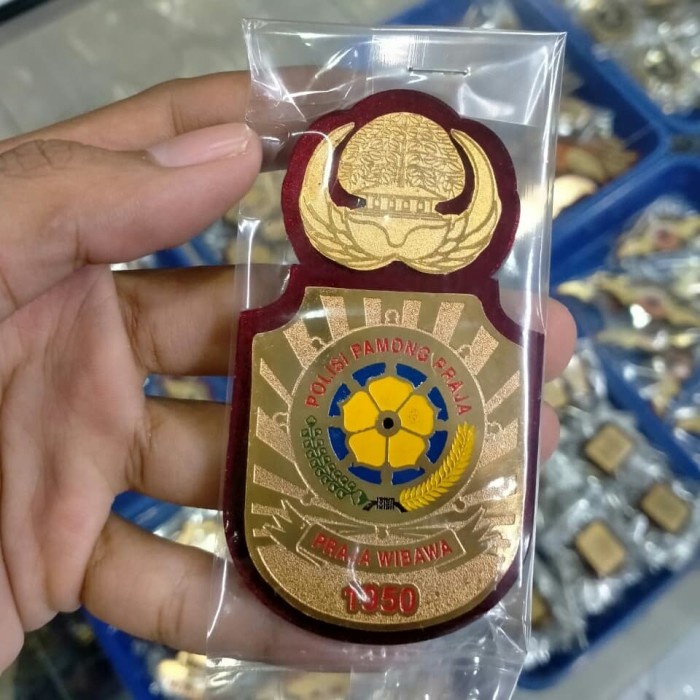 Jual Pin Jas Lencana Kewenangan Korpri Pol Pp (Mika) | Shopee Indonesia