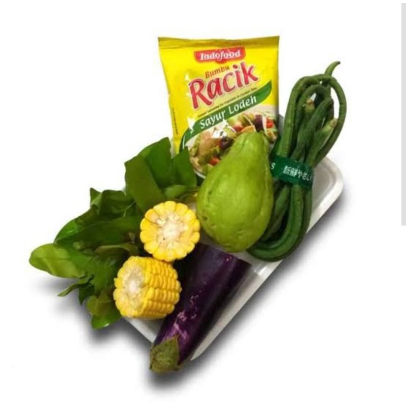 Jual PAKET SAYUR LODEH SEGAR SIAP MASAK | Shopee Indonesia