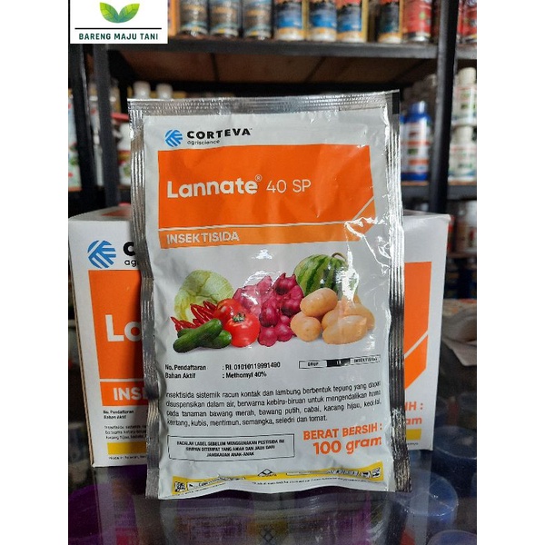 Jual Insektisida LANNATE 40 SP Corteva/Dupont isi 100GR Mengendalikan ...