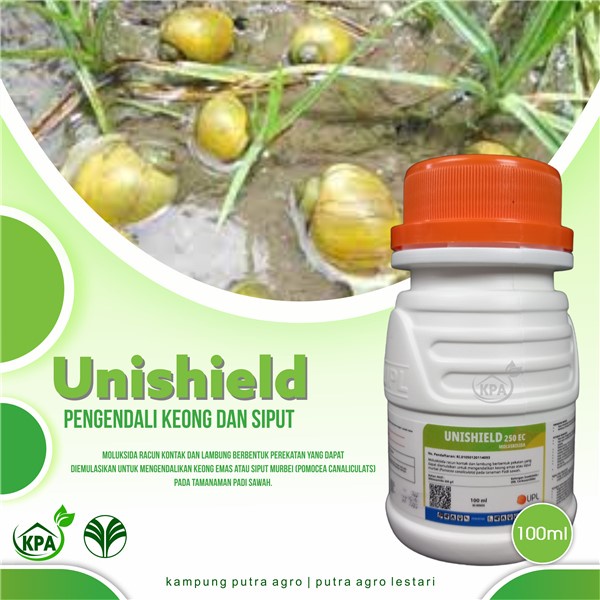 Jual Pengendali Hama Keong Emas dan Siput pada Tanaman Padi sawah ... Jual Pengendali Hama Keong Emas dan Siput pada Tanaman Padi sawah ...