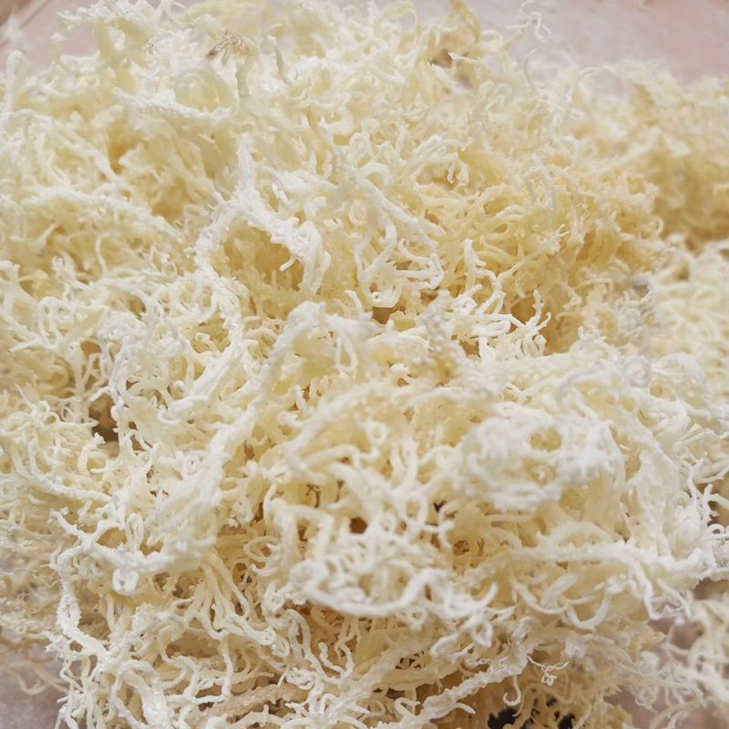 Jual Rumput laut kering 250g/rumput laut putih 250g/makanan tinggi ...