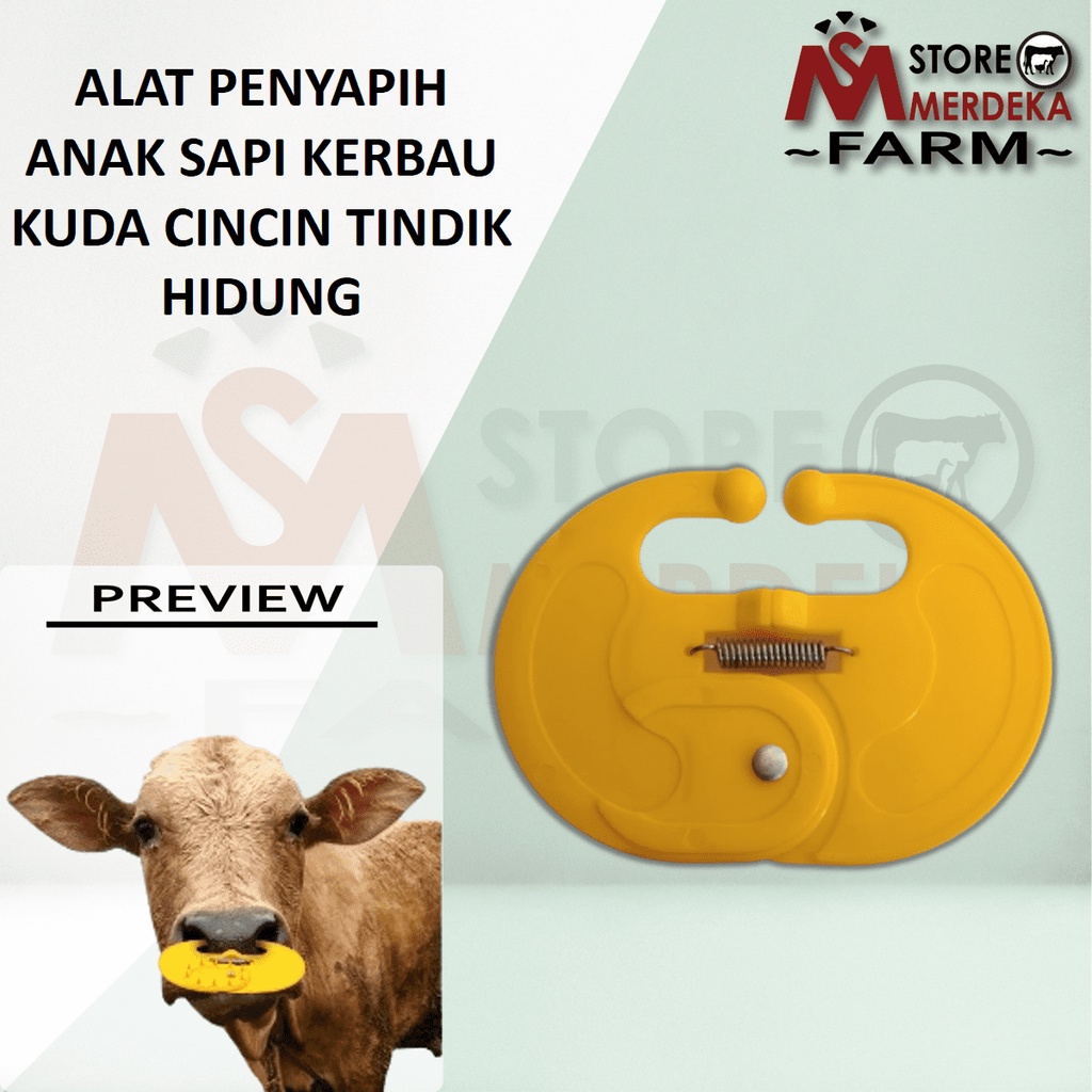 Jual Alat Penyapih Anak Sapi Kerbau Kuda Cincin Tindik Hidung | Shopee ...