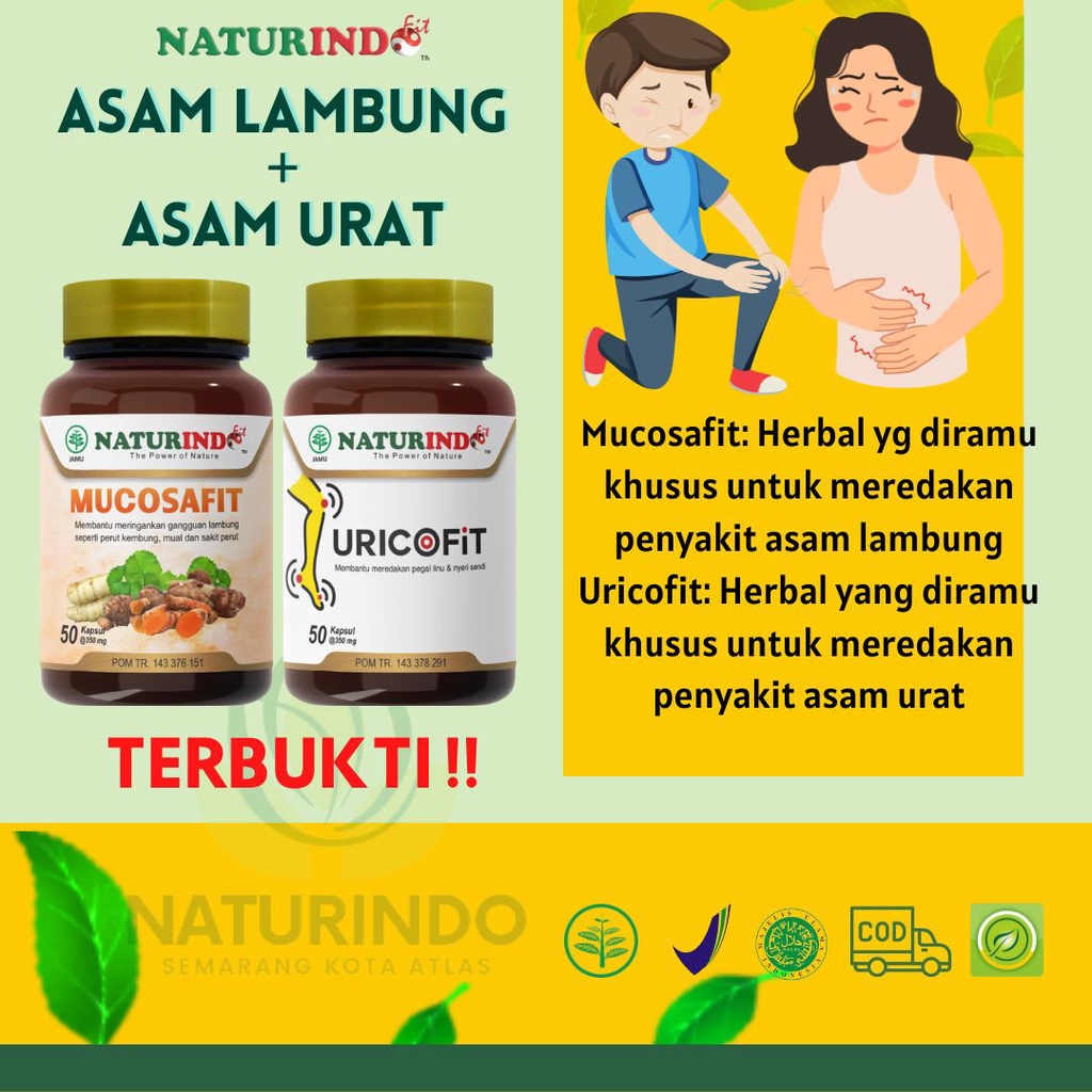 Jual Naturindo Mucosafit Obat Herbal Asam Lambung Magh Maag Kronis Gerd ...