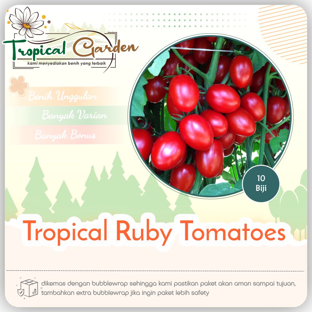 Jual Tropical Garden Benih Tomat Cherry Tropical Ruby F1 COD | Shopee Indonesia