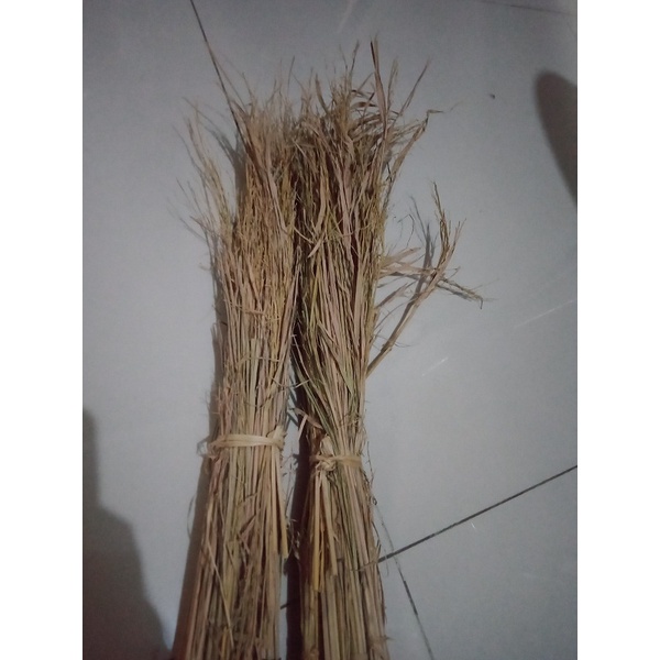 Jual [GROSIR] MERANG JERAMI/MERANG DARI POHON PADI/JERAMI PADI (TERBARU ...