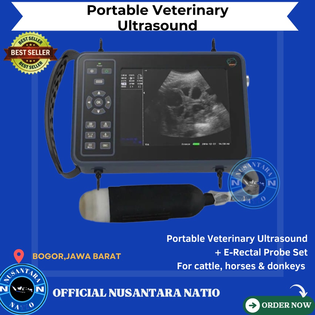 Jual Portable Veterinary Ultrasound + E-Rectal Probe Set For cattle ...