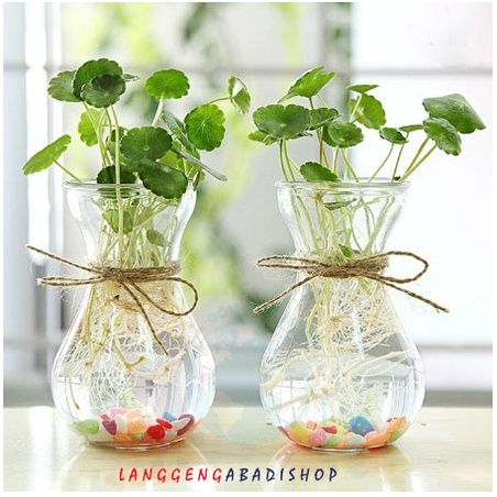 Jual VAS BUNGA KACA BENING TALI RAMI | VAS BUNGA KACA BULAT | VAS BUNGA ...