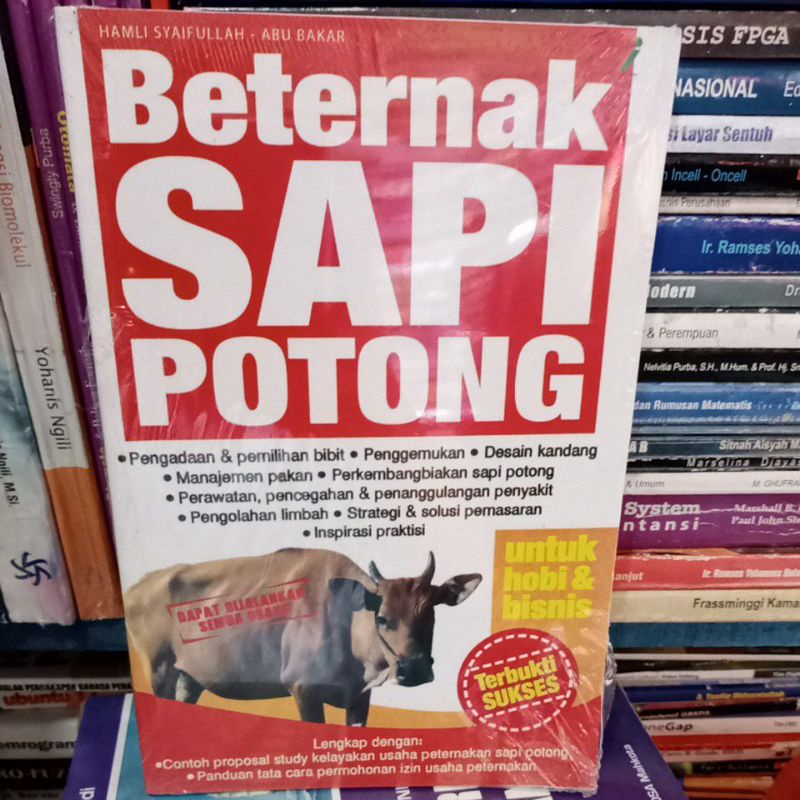 Jual BETERNAK SAPI POTONG | Shopee Indonesia