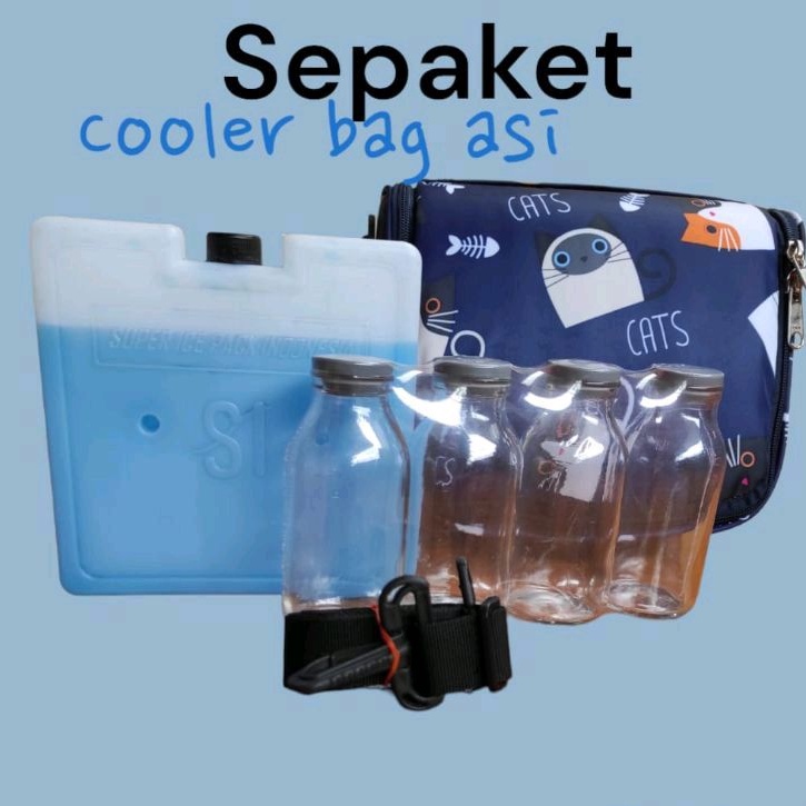 Jual Cooler bag ASI SEPAKET ( FREE ICE GEL, BOTOL KACA 4 PCS DAN ...