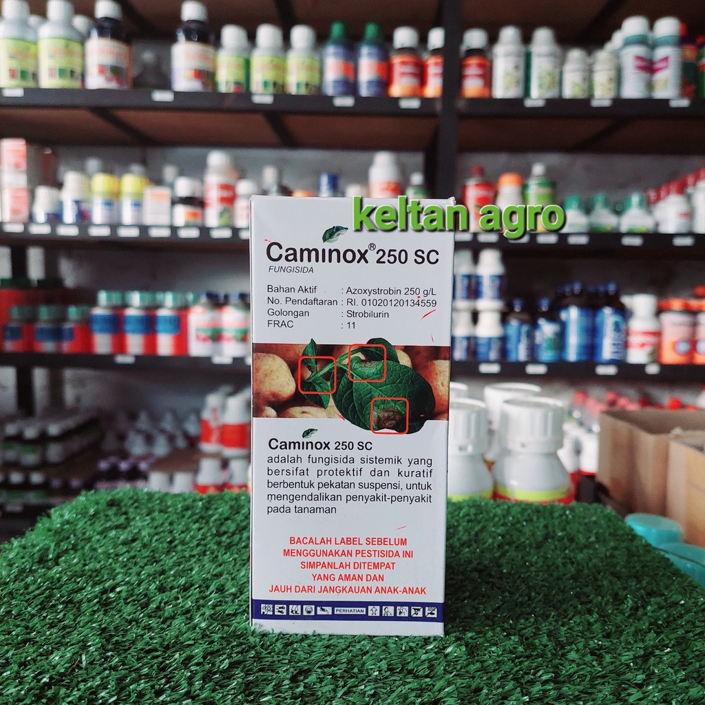 Jual CAMINOX 250 SC ( 250 ml ) | Shopee Indonesia