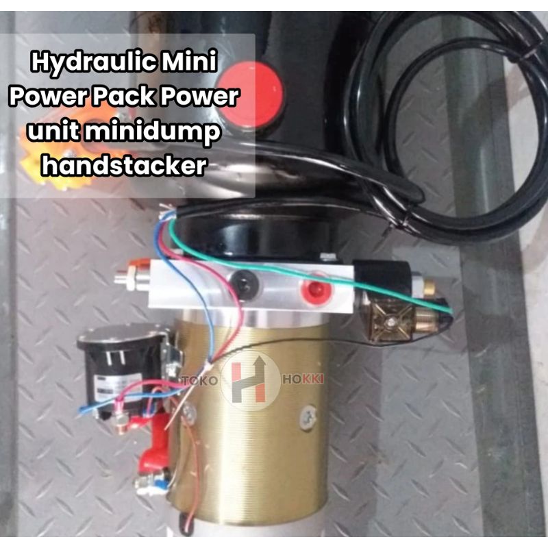 Jual Hydraulic Mini Power Pack Power unit minidump handstacker | Shopee ...